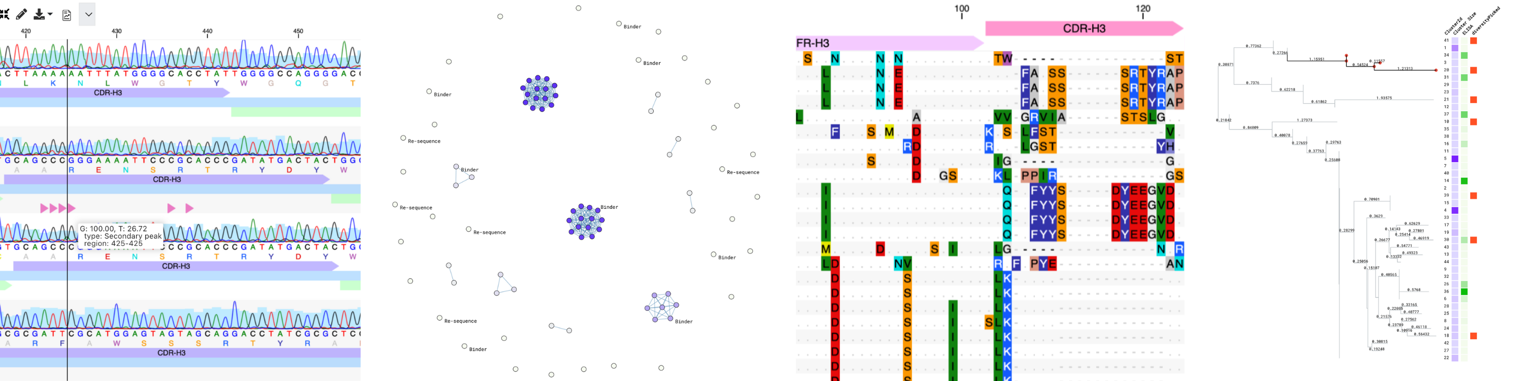 Sanger sequence analysis of antibodies